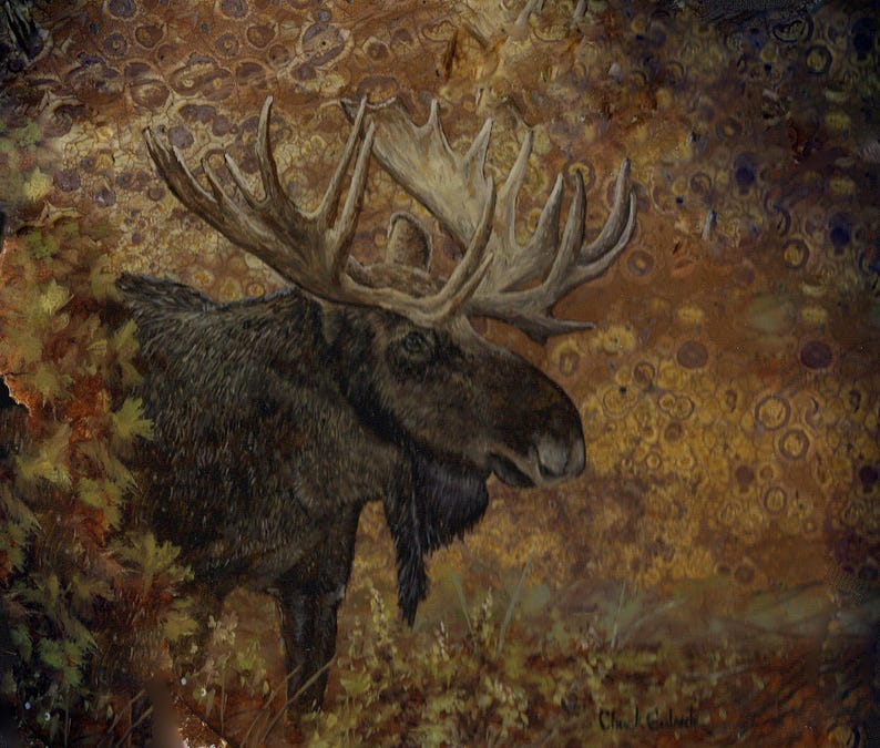Moose Art-oil Painting-wildlife Art-rock Paintings-wildlife on Stone ...