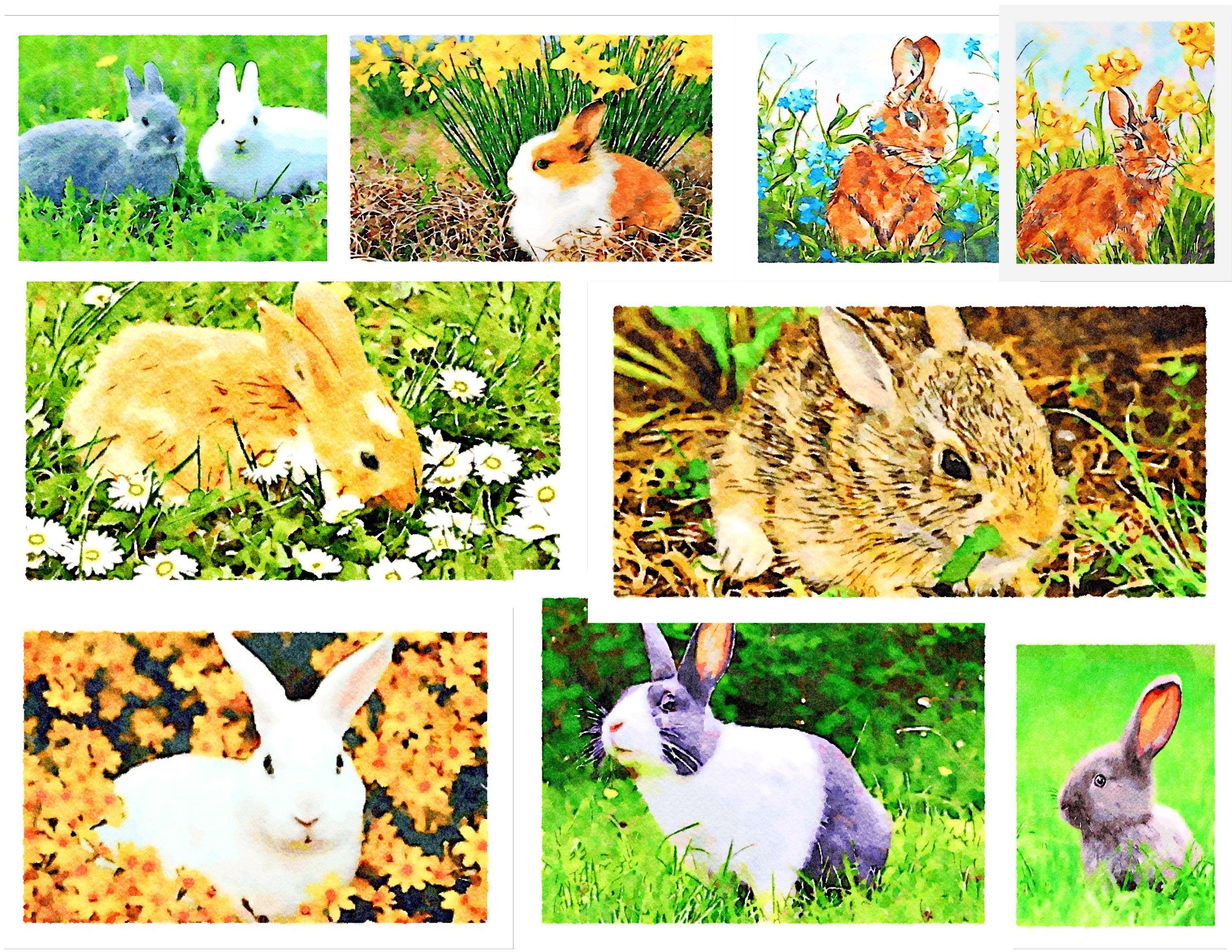 Watercolor Collage Painting of Rabbits Enjoying Summer - Notecards - Etsy