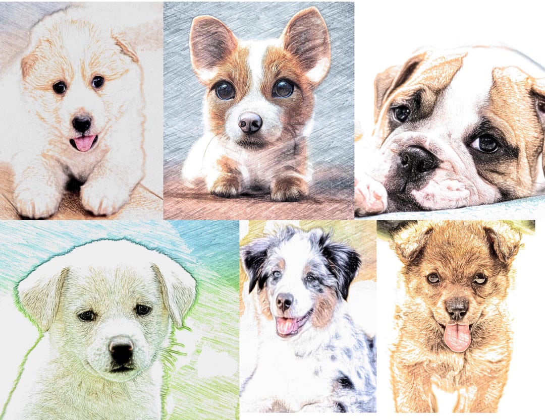Collage de dibujos de perritos a lápiz de colores Tarjetas de notas ...