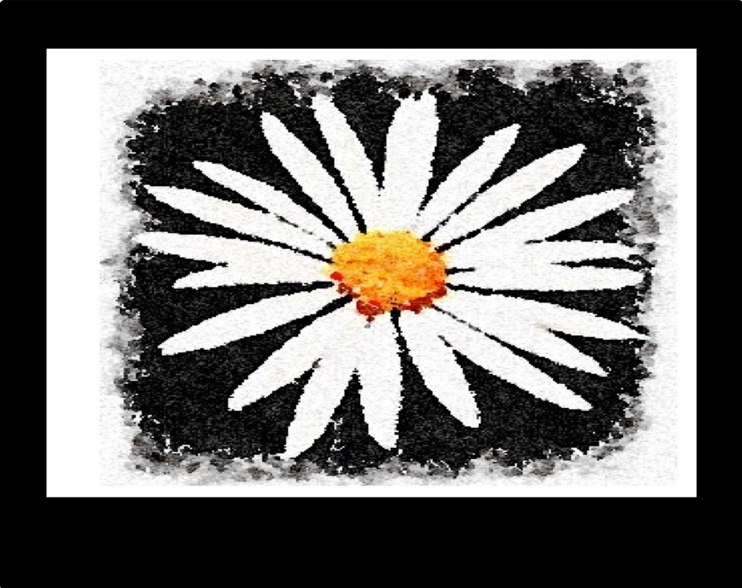 Sponge Paintings of White Daisies - Notecards - Etsy