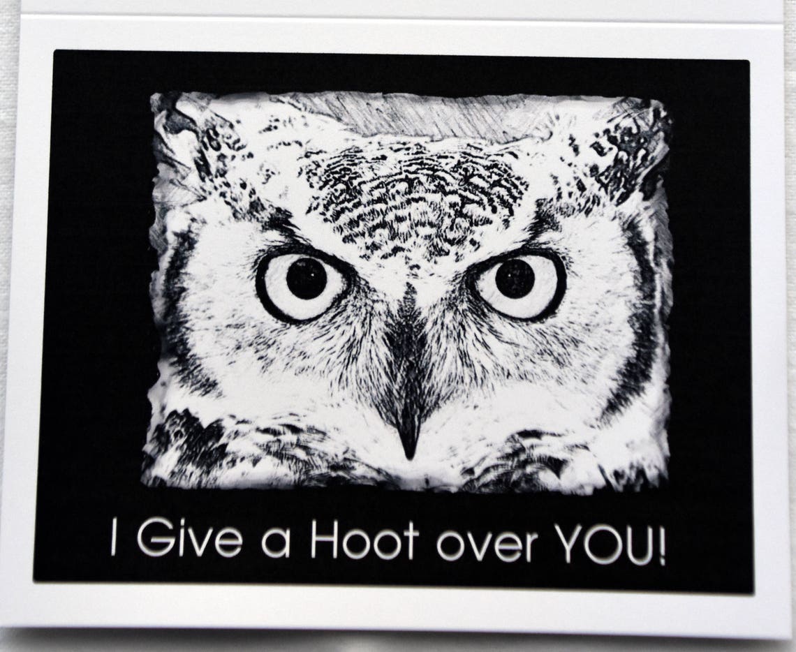 Drawings of Owls Saying Hello - Notecards - Etsy