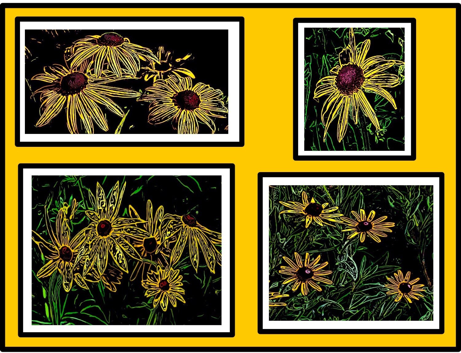 Watercolor Paintings on Line Drawings of Black Eye Susans Collage ...