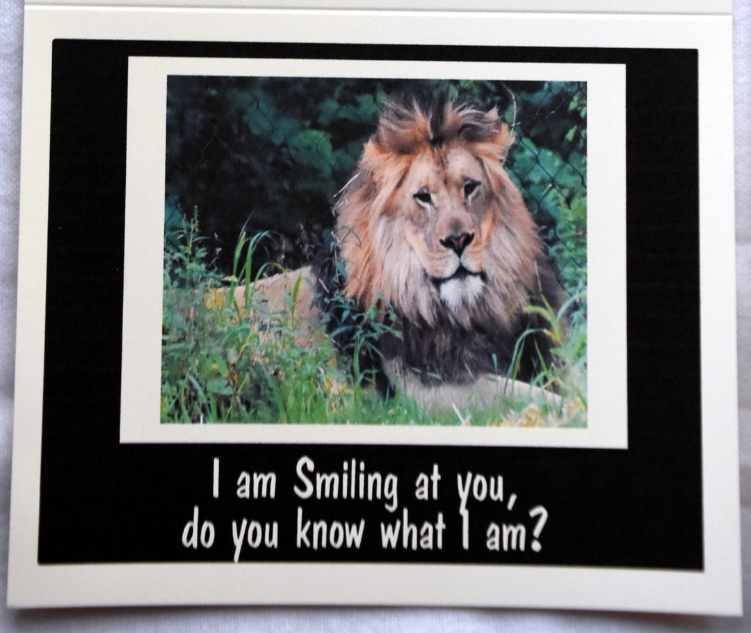 Zoo Animals Saying Hello - Notecards - Etsy