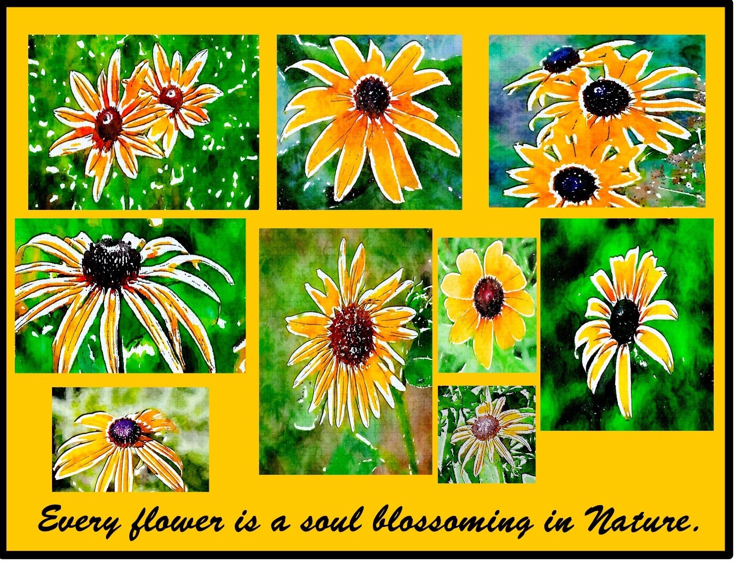 Watercolor Paintings of Black-eye Susans and Sayings - Notecards - Etsy