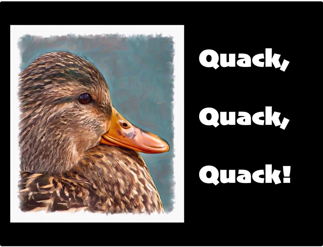 Watercolor Paintings of a Quack Quack Bird - Notecards - Etsy
