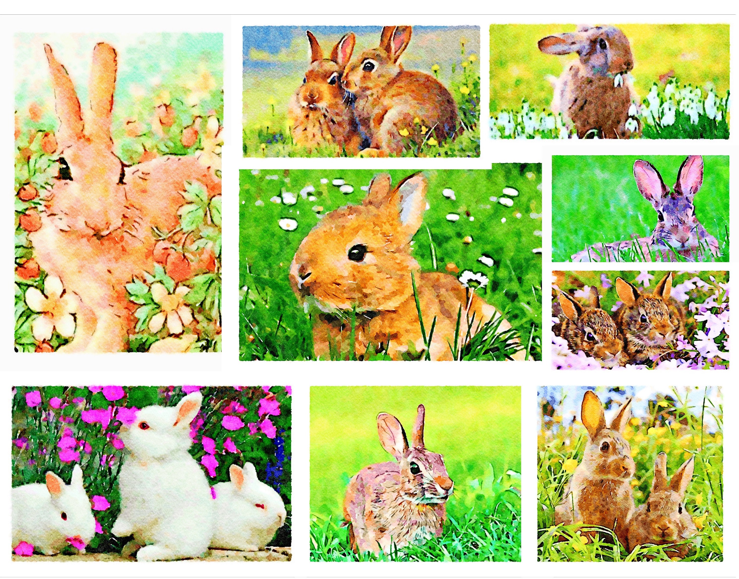 Watercolor Collage Painting of Rabbits Enjoying Summer Notecards - Etsy