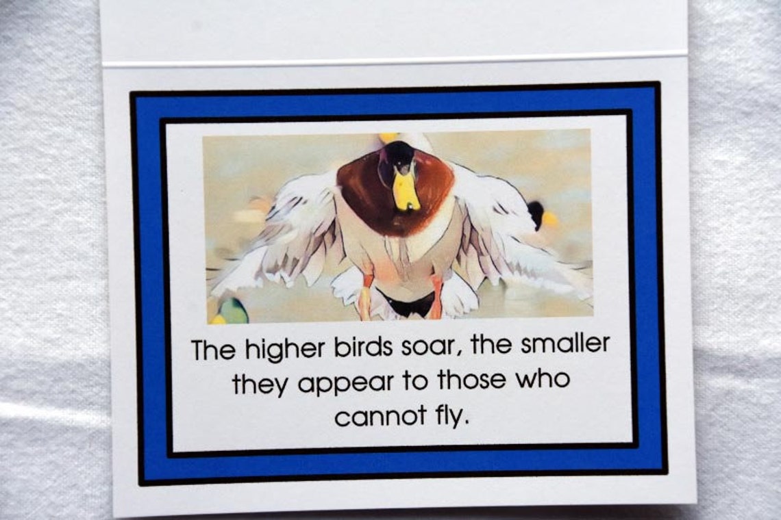 Drawings of Flying Waterfowl - Notecards - Etsy