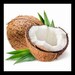 Coconut Premium Uncut Fragrance Oil Concentrate for Scenting Soaps ...
