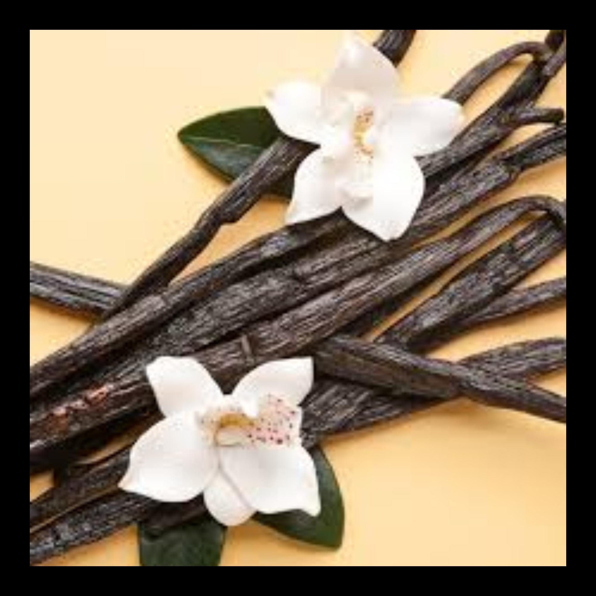 Vanilla Bean Premium Uncut Fragrance Oil Concentrate for Scenting Soaps ...