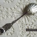 HILDESHEIMER ROSE Pattern Shell-shaped Sugar Spoon 800 Silver ANTIKO ...
