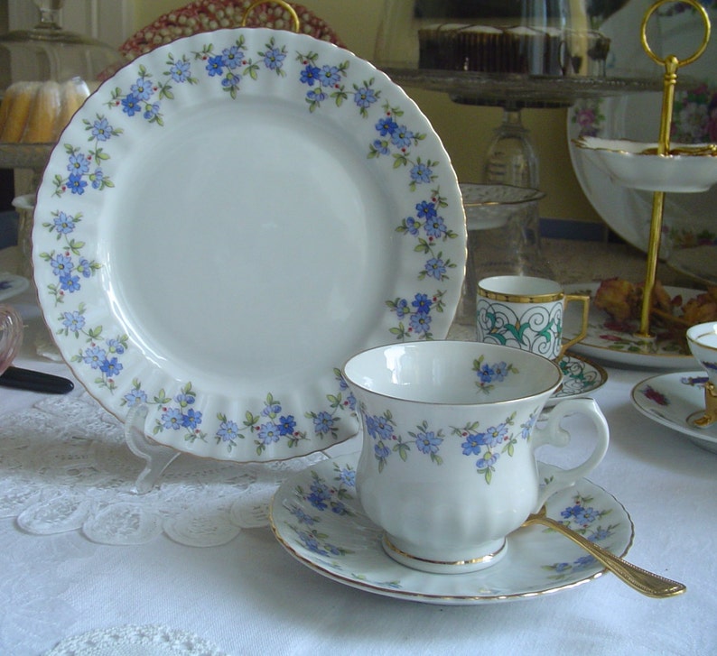 Forget-me-nots - Royal China - 1970s Vintage - TEACUP, SAUCER & PLATE ...