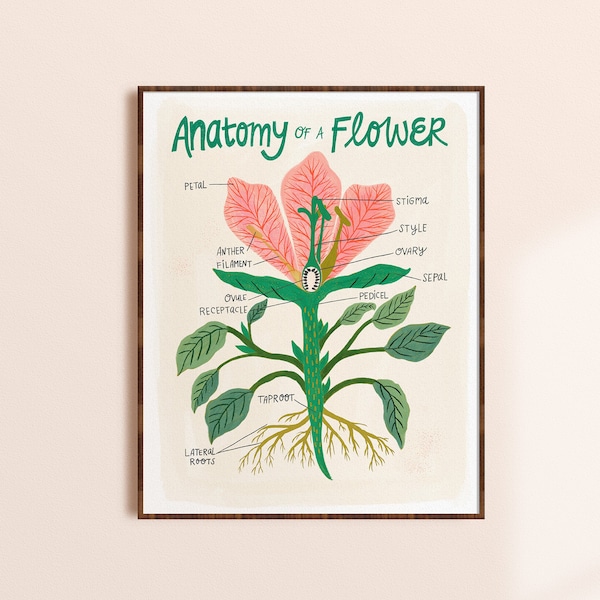 Floral Anatomy Wall Art - Etsy