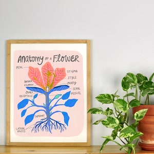 Plant Anatomy Art, Plant Lover Gift, Plant Lady Art, Gift for Gardener ...