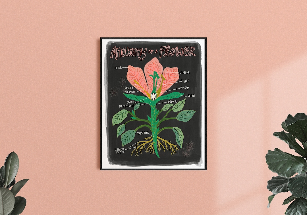 Plant Anatomy Art, Plant Lover Gift, Plant Lady Art, Gift for Gardener ...