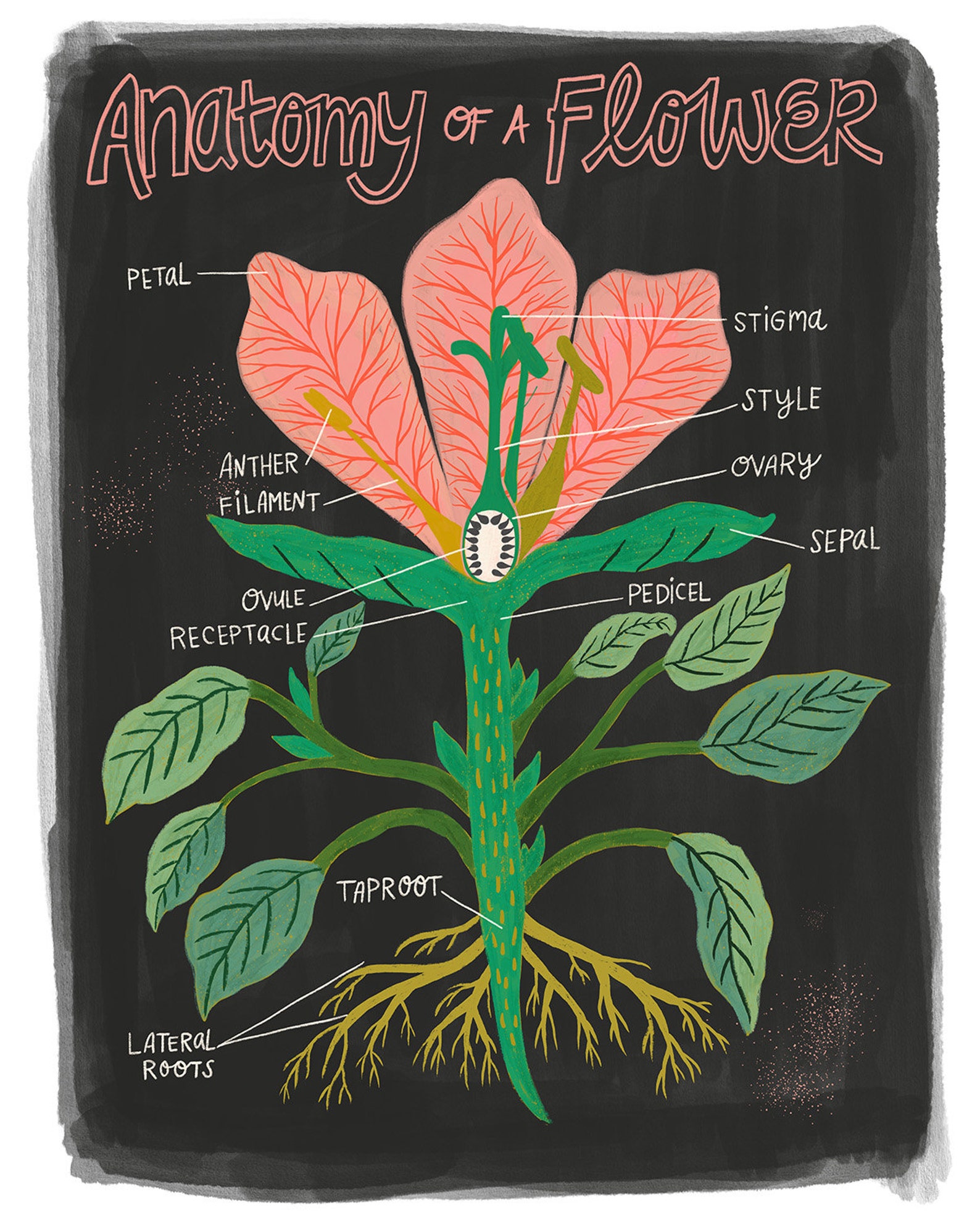 Plant Anatomy Art Plant Lover Gift Plant Lady Art Gift for | Etsy