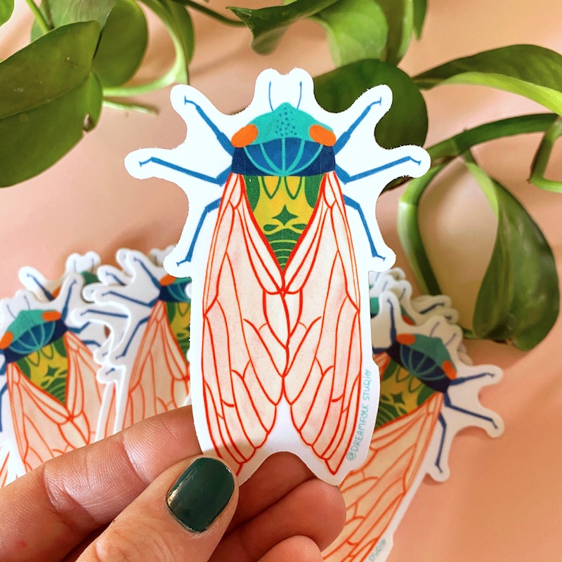 Insect Decals - Etsy