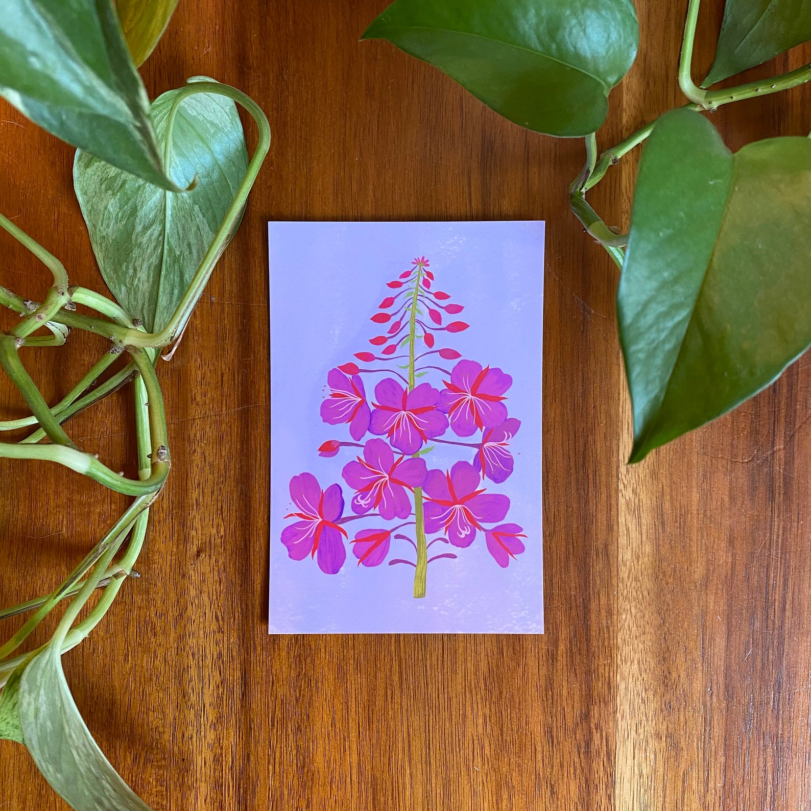 Wildflower Postcard Set, 10 Postcards, Floral Stationery Set, Gifts for ...