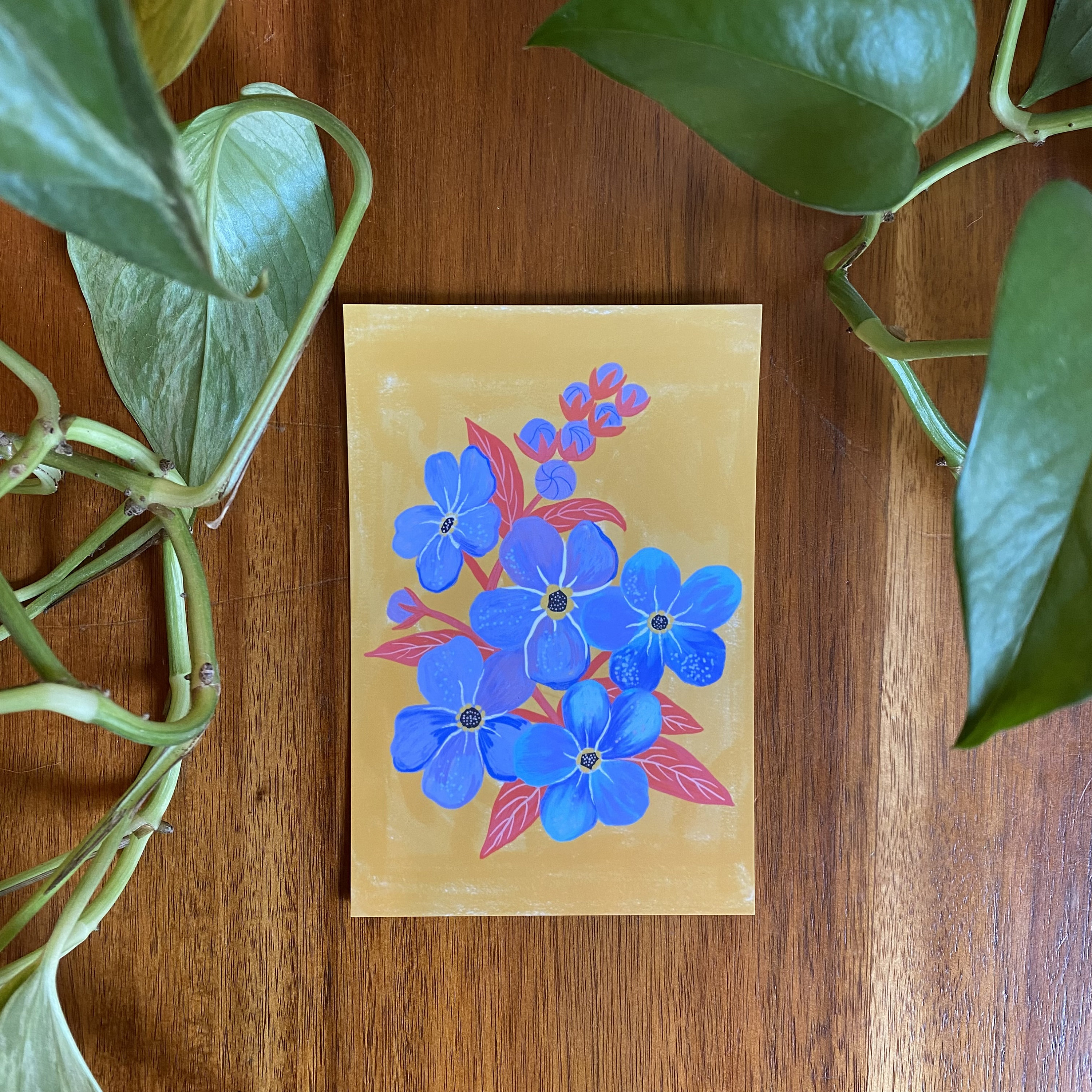 Wildflower Postcard Set, 10 Postcards, Floral Stationery Set, Gifts for ...