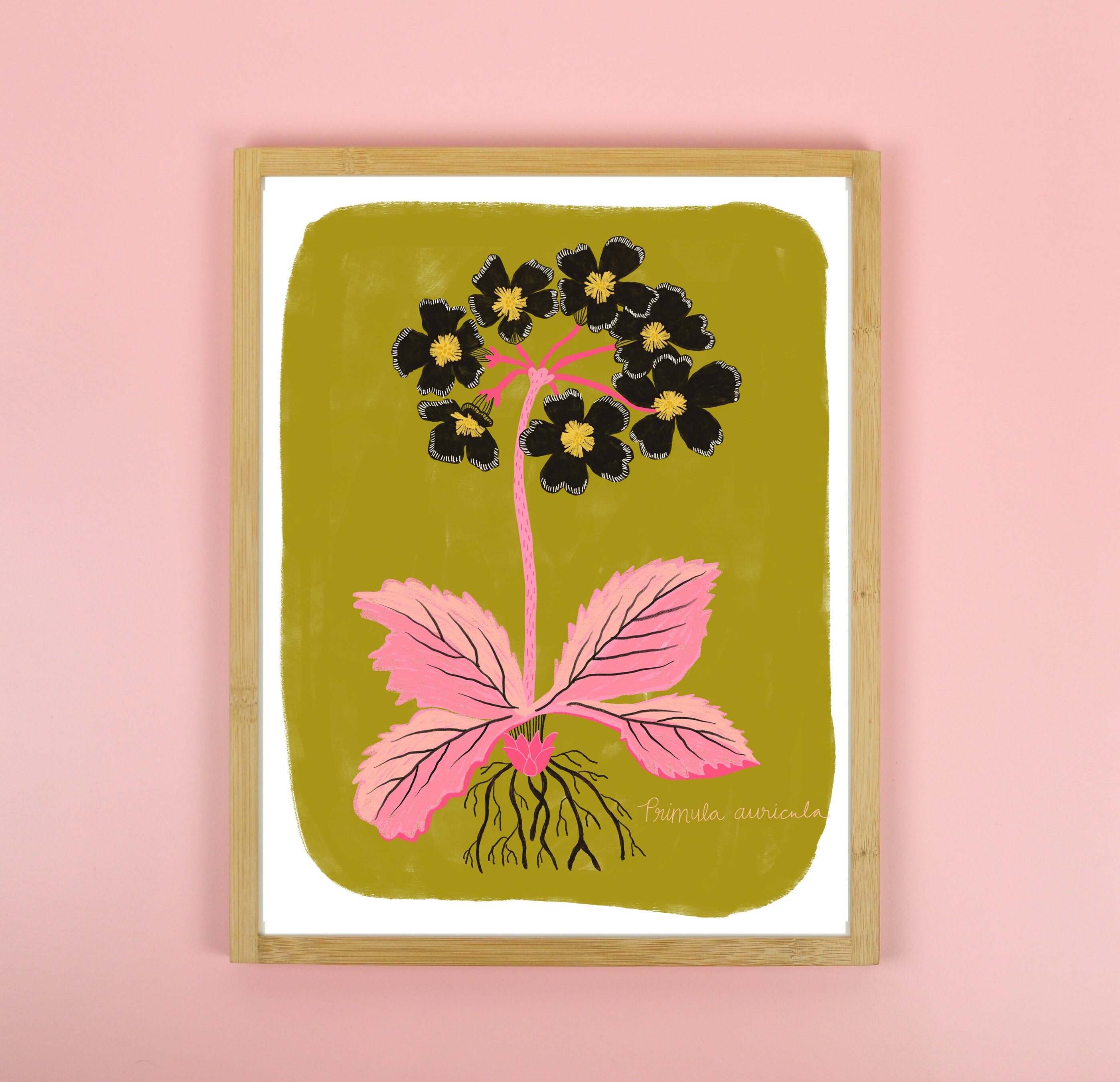 Floral Wall Art, Primrose Flower Print, Botanical Illustration, Living ...