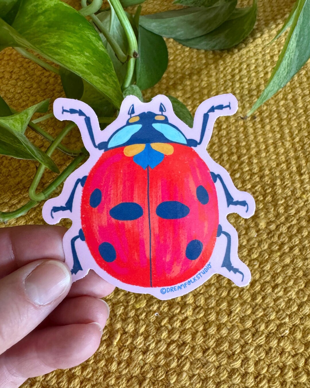 Ladybug Sticker, Insect Decal, Lady Bird Sticker, Water Bottle ...