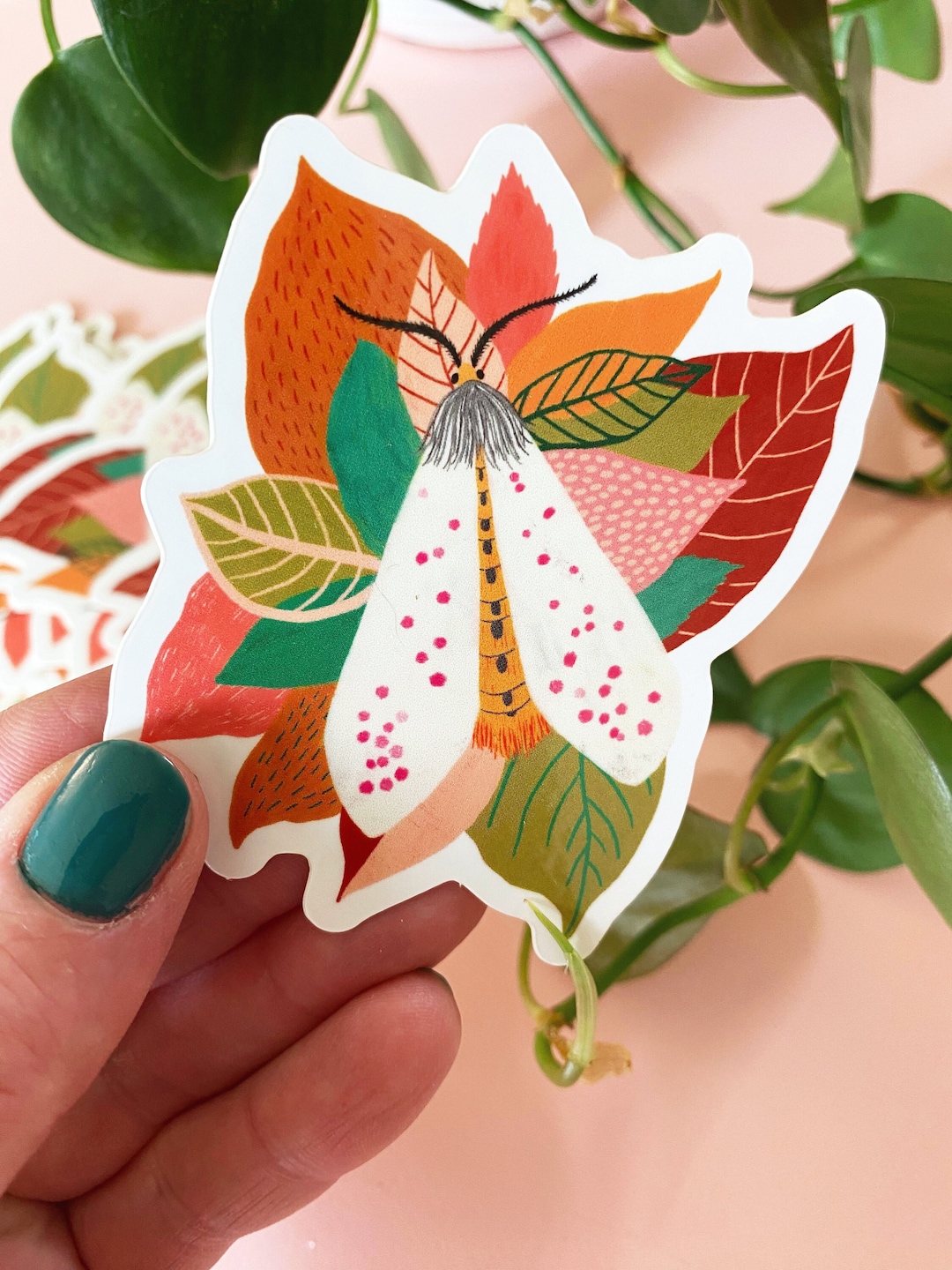 Moth Sticker, Nature Sticker, Water Bottle Decals, Insect Gifts, Bug ...