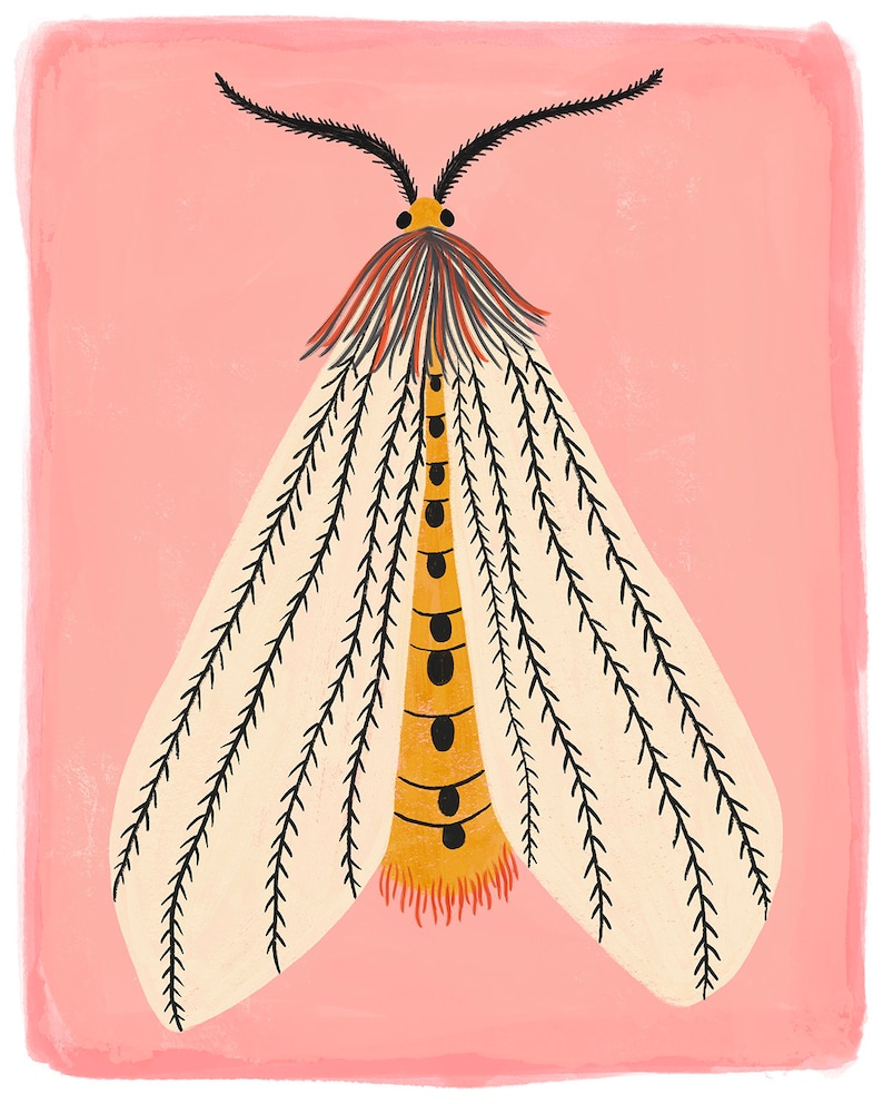 Moth Art Print Set Insect Illustration Gallery Wall Prints | Etsy