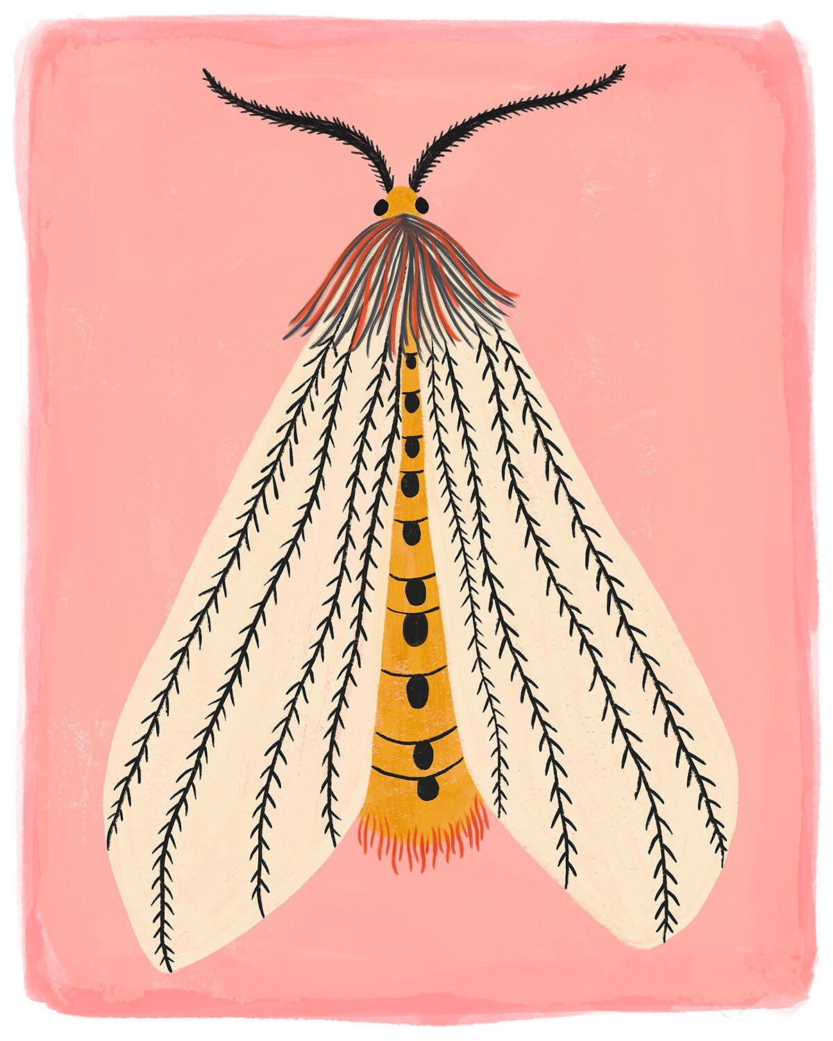 Moth Art Print Set Insect Illustration Gallery Wall Prints | Etsy