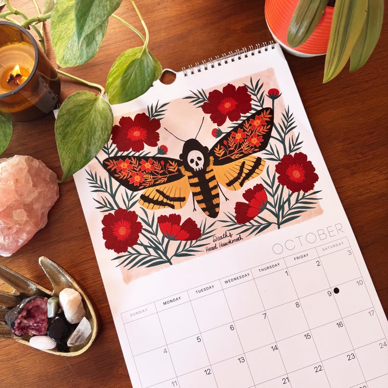 Mystical Moths Wall Calendar 2026 | Botanical Folk Art | Artful Monthly ...