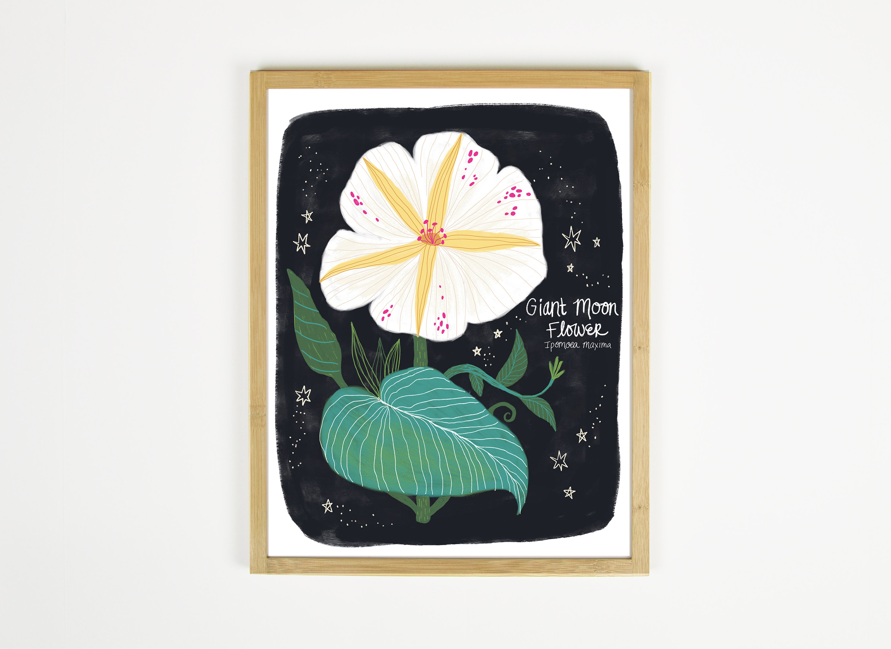Moon Flower Print Floral Illustration Botanical Art Print | Etsy