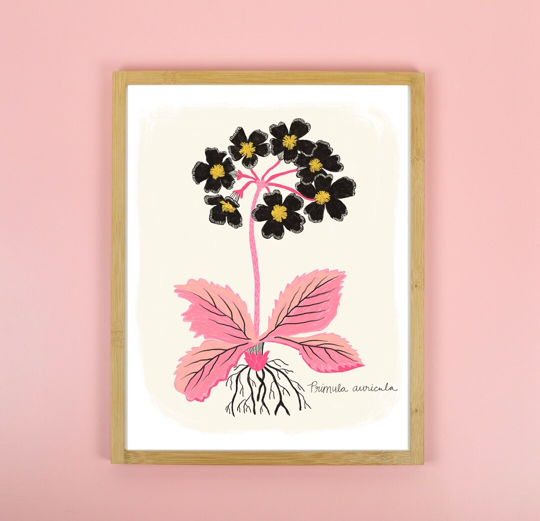 Floral Wall Art, Primrose Flower Print, Botanical Illustration, Living ...