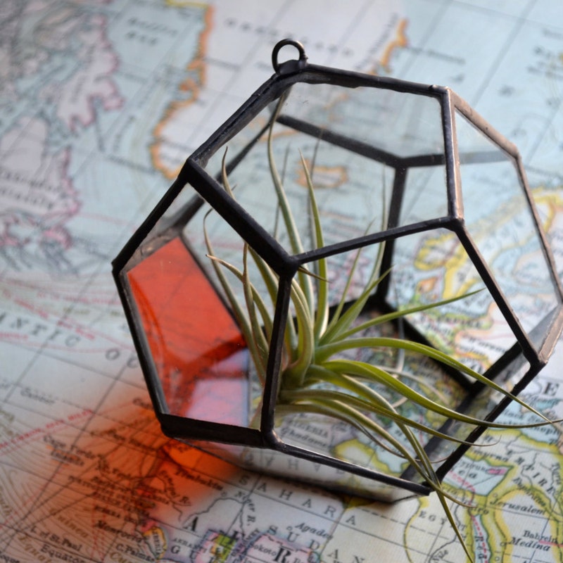 Glass Terrarium Container - Etsy
