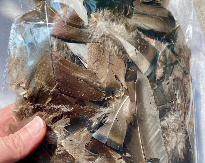 The Land of Misfit Feathers, Bulk Feathers, Feathers for Crafting ...
