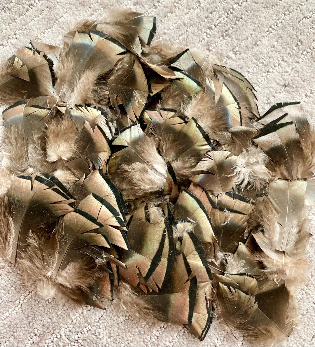 Wild Turkey Feathers for Crafts and Flower Arrangements, DIY - Etsy