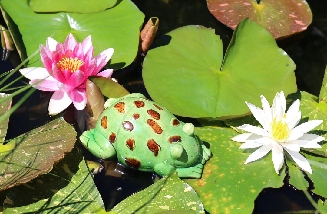 Fish Pond FLOATING CERAMIC FROG 1970's Green With Brown Spots Yard Art ...