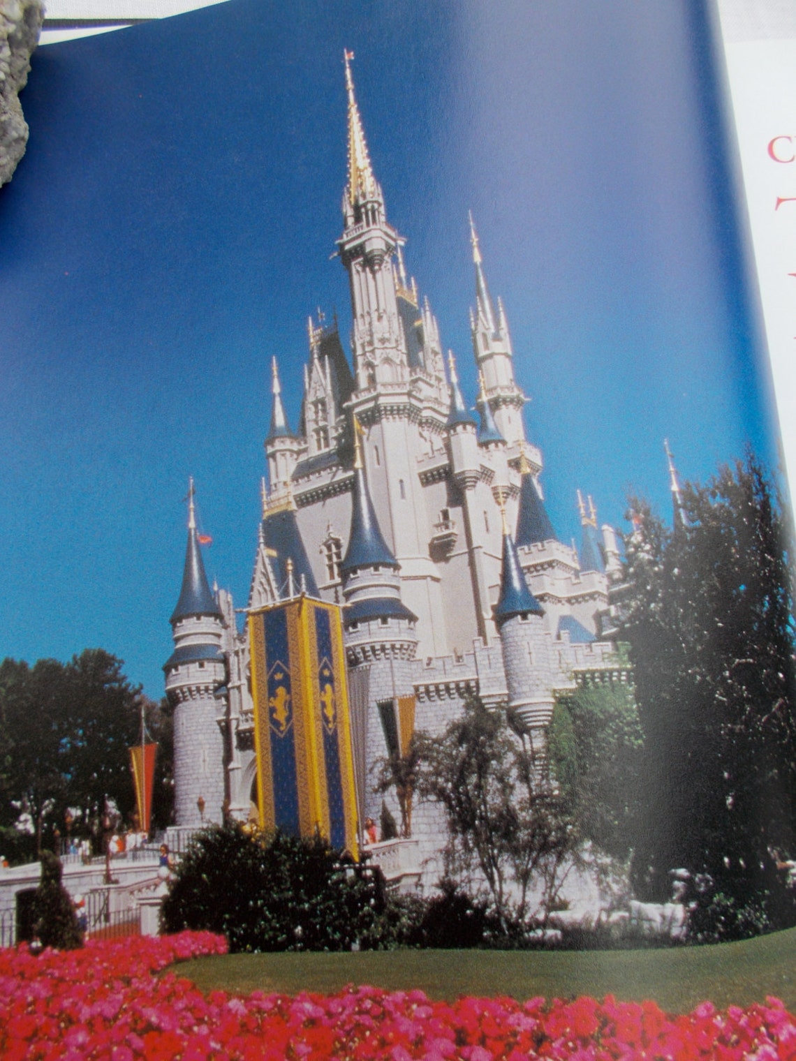 Since The World Began Walt Disney World The First 25 Years | Etsy
