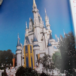 Since the World Began Walt Disney World the First 25 Years 1996 First ...