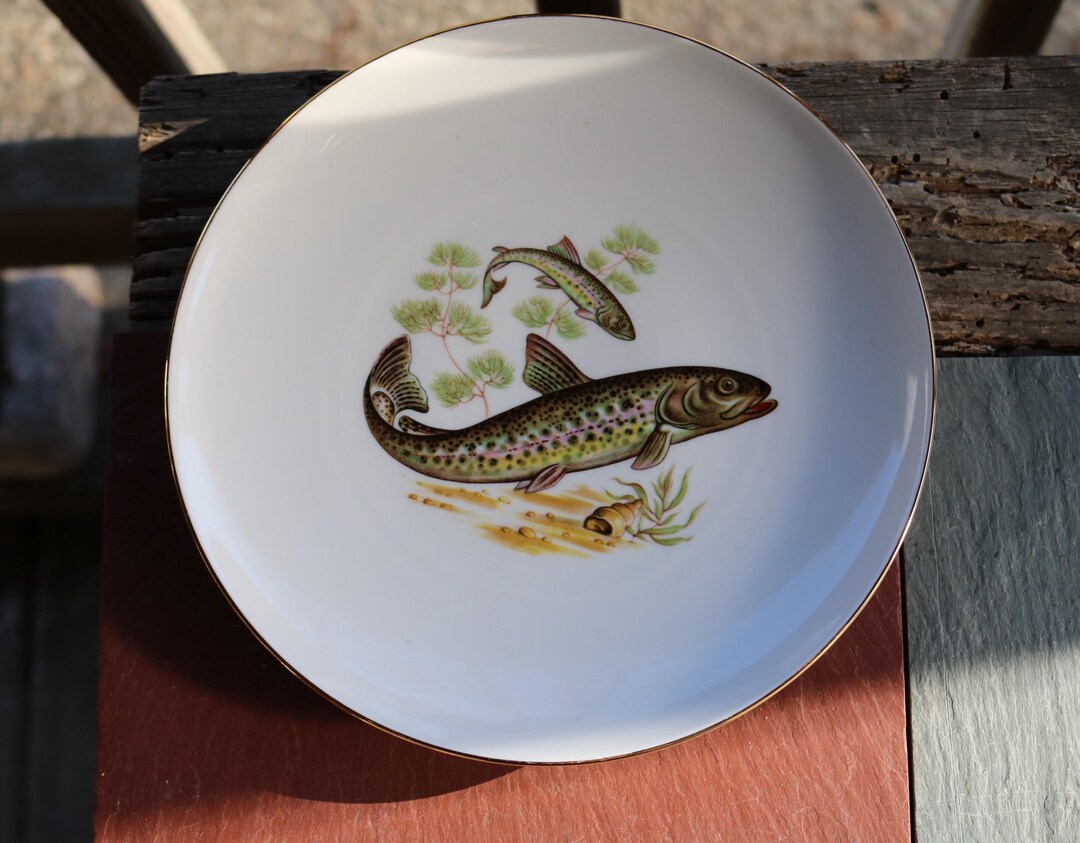 50s RAINBOW TROUT Plate by Schumann Arzberg GERMANY Porcelain #27 - Etsy