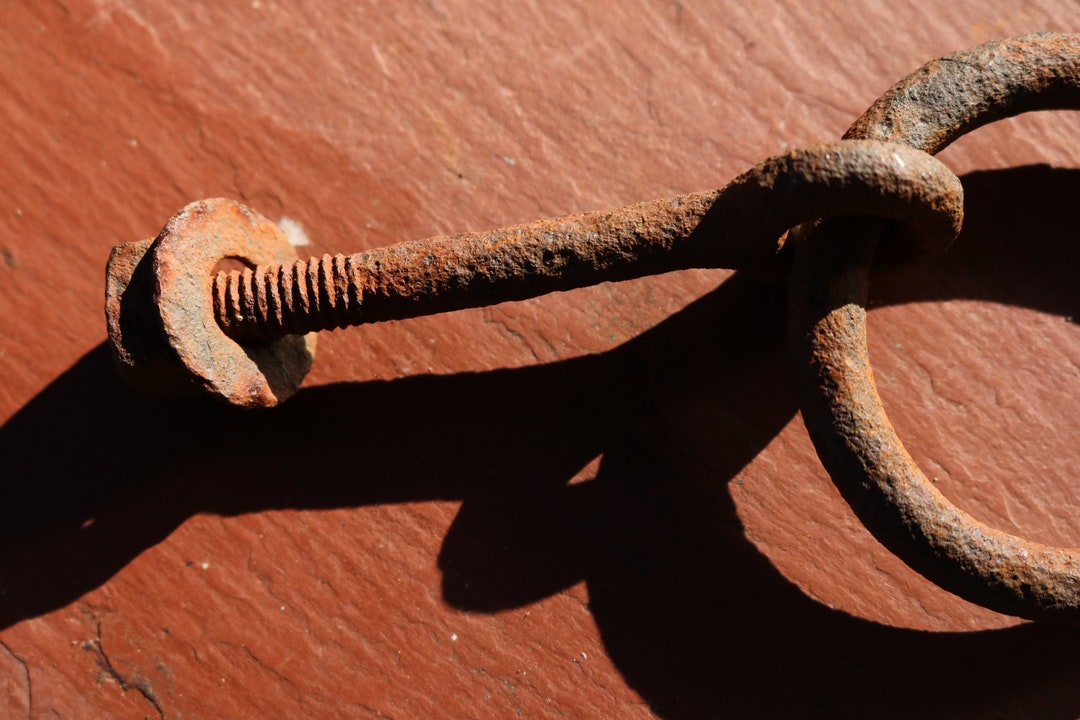 1700s 1800's Antique Tethering Ring Rusty Barn Cow Horse Goat Farm for ...