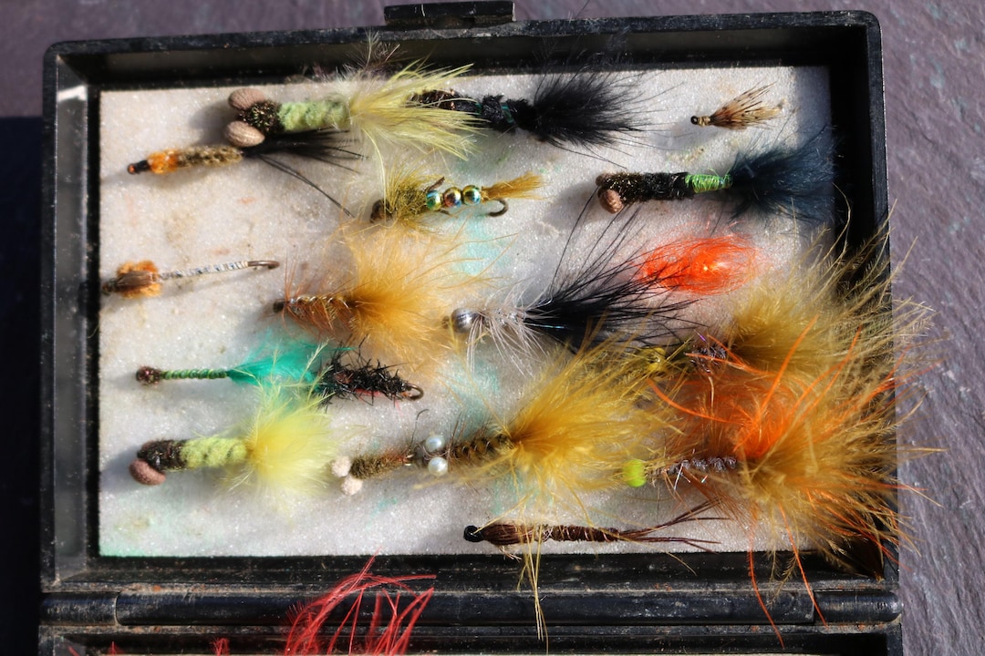 A Spectacular Selection of Go to Unusual Flies 49 Different Patterns ...