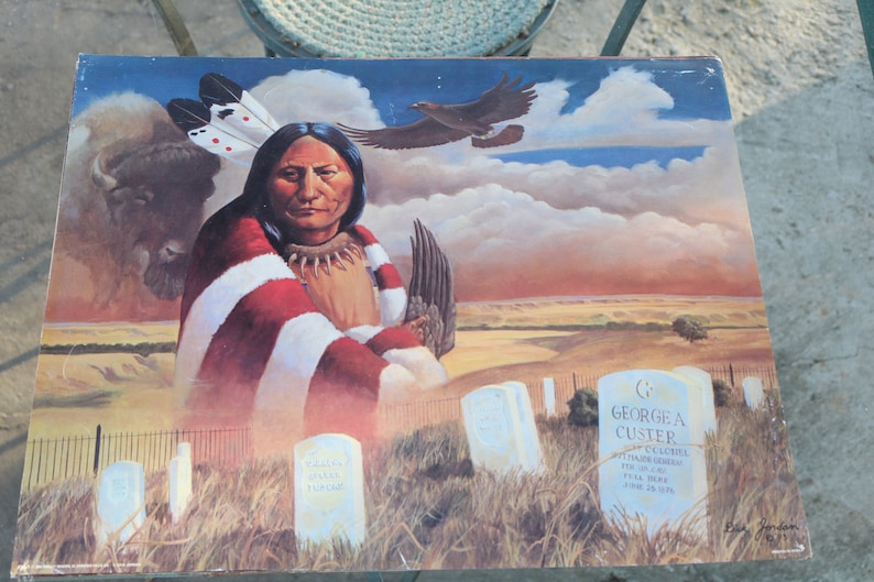 EIGHT 80s 90's Native American Prints Buffalo Indian Chief Women 20" by ...