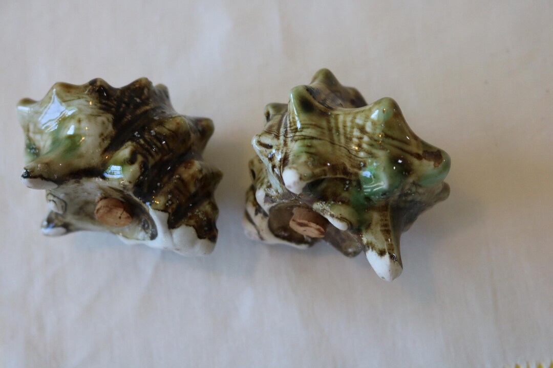 50s Florida Souvenir SALT & PEPPER Shakers Conch Shell Design - Etsy