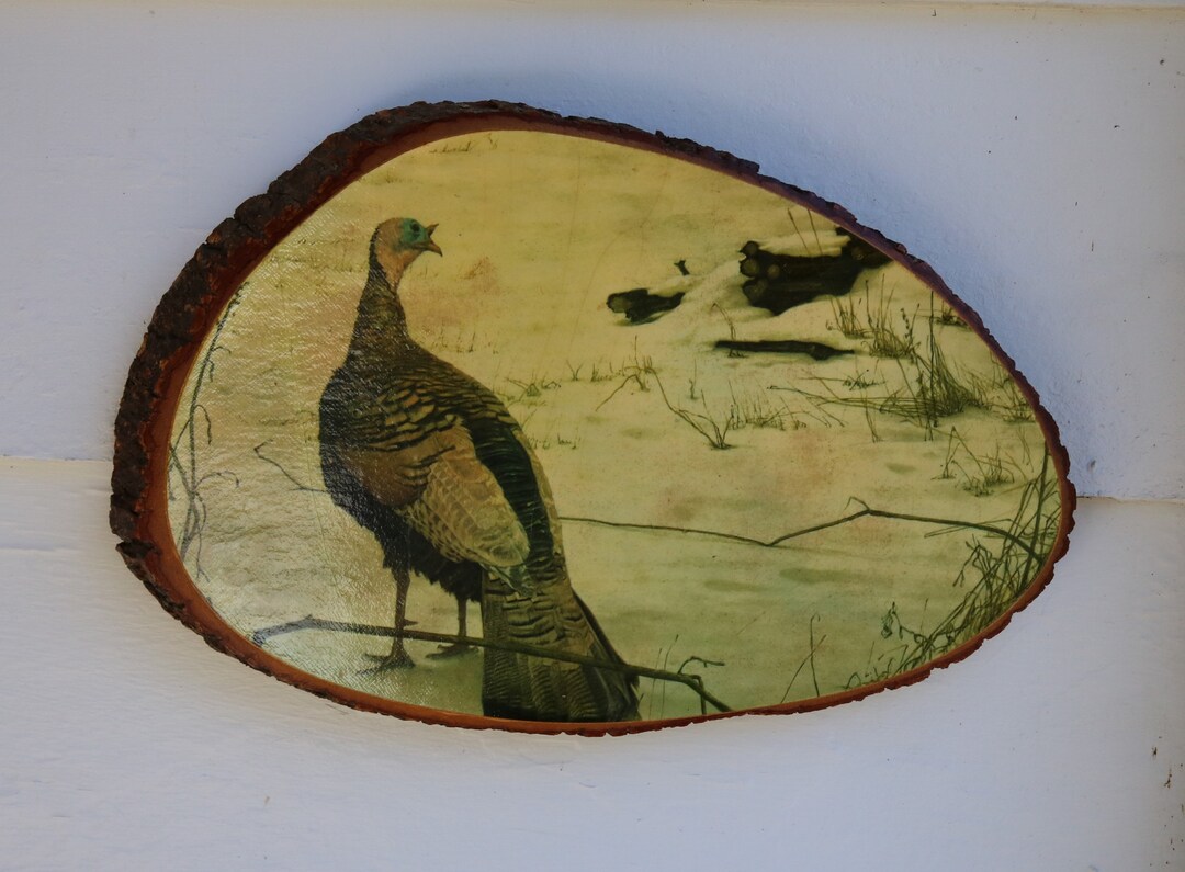80s Handcrafted TURKEY Print PLAQUE Decoupage on Bark & Wooden Plank ...