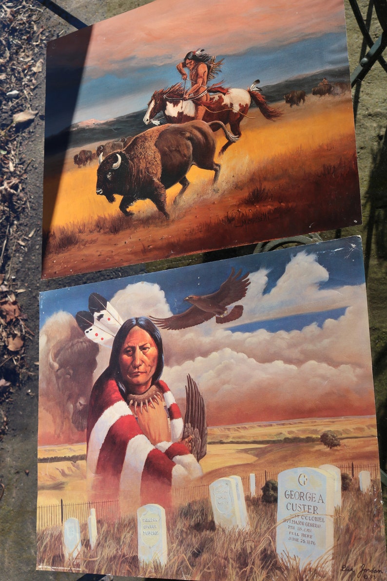 EIGHT 80s 90's Native American Prints Buffalo Indian Chief Women 20" by ...