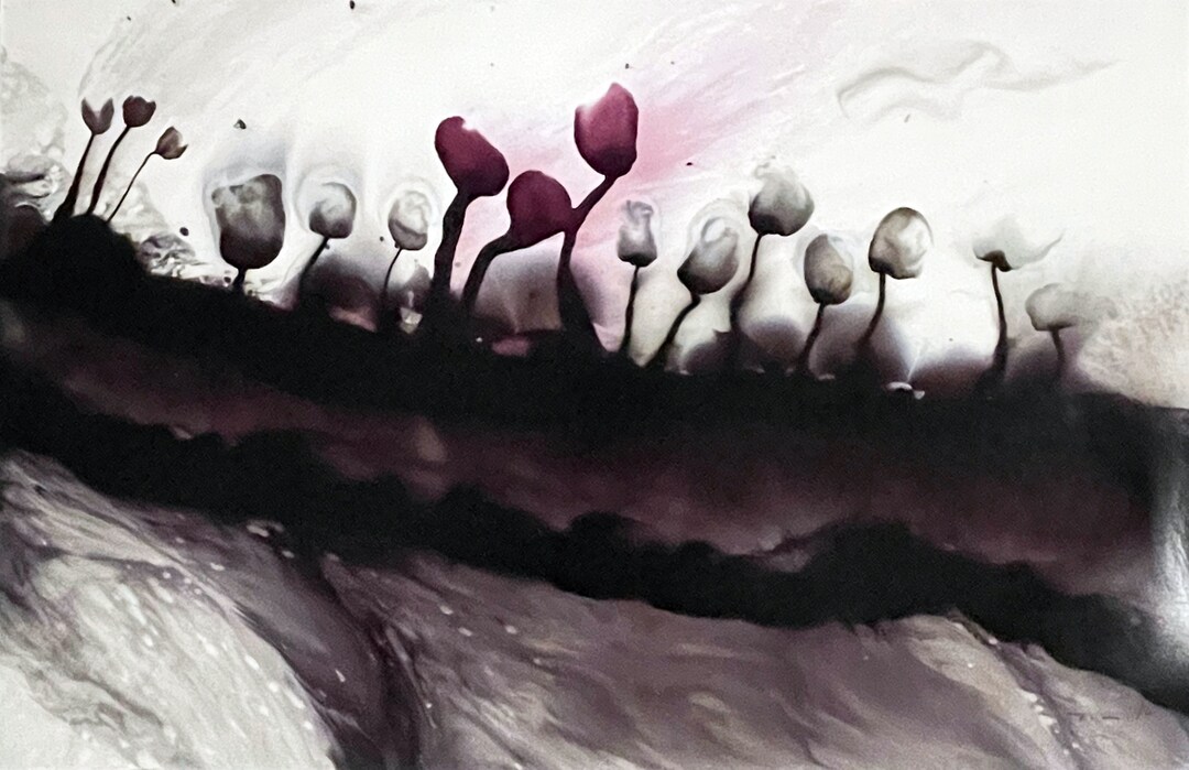 Jose Tonito Original Painting.mushroom Field.fantastic Dynamic.organic ...