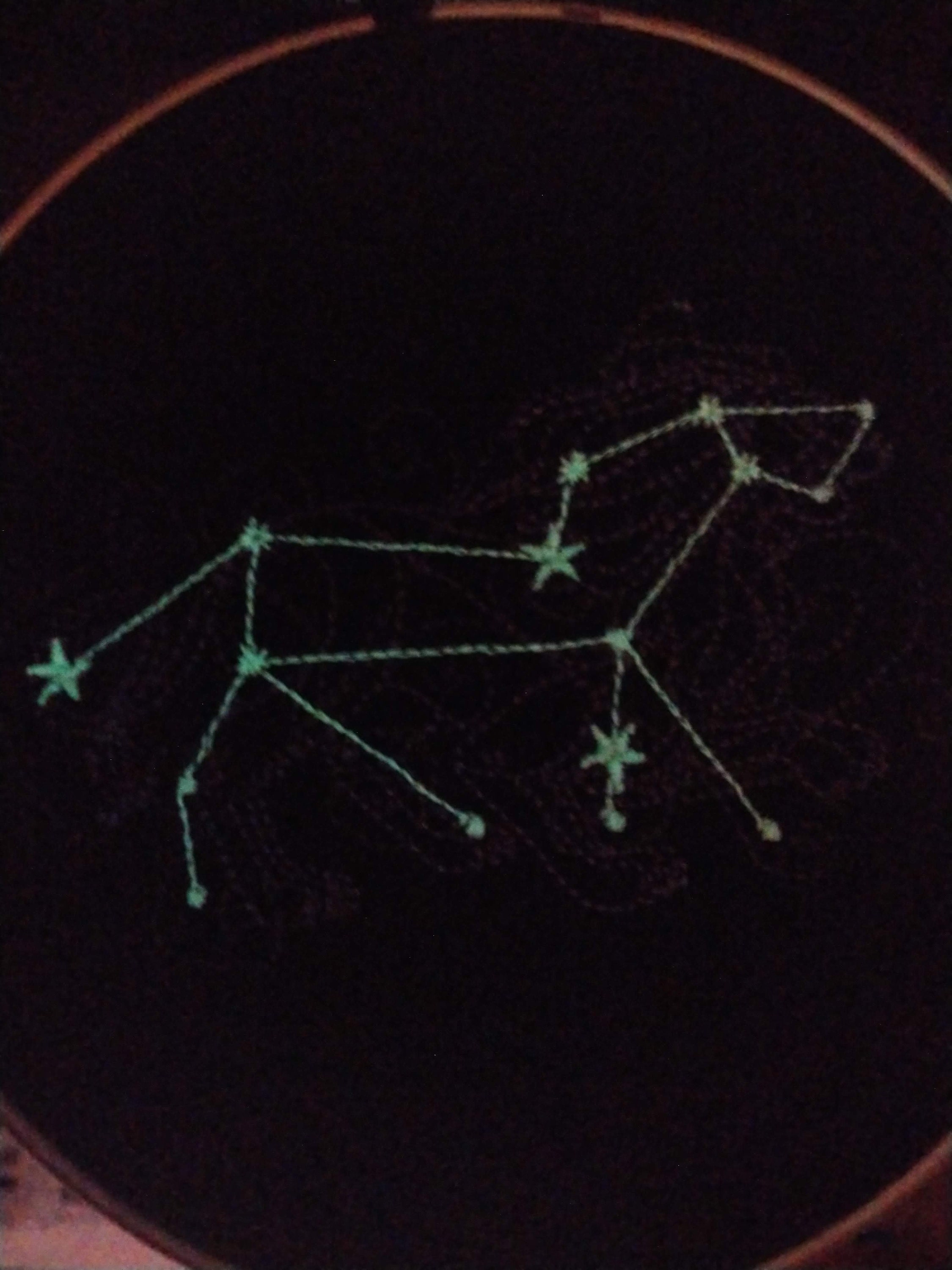 Leo Constellation Glow in the Dark Embroidery Hoop Wall Hanging - Etsy