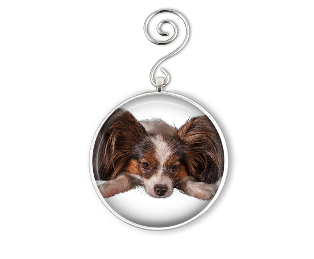 Your Papillon Dog's Photo on an Ornament - Etsy