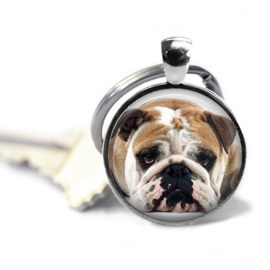 Your English Bulldog's Photo on a Keychain | Etsy