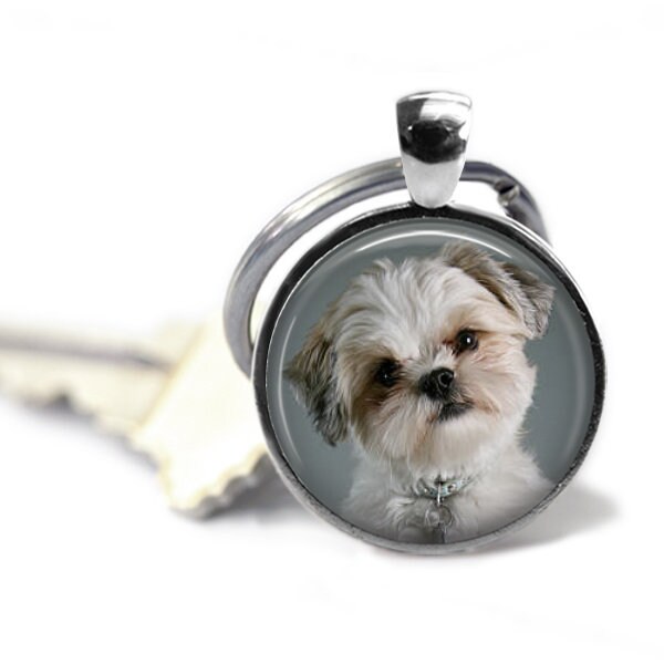 Custom Shih Tzu - Etsy