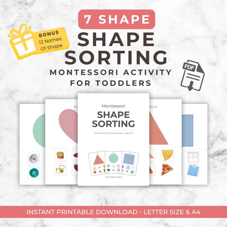 Montessori Shape Sorting Activity | Basic Shape Toddler Learning (PDF ...