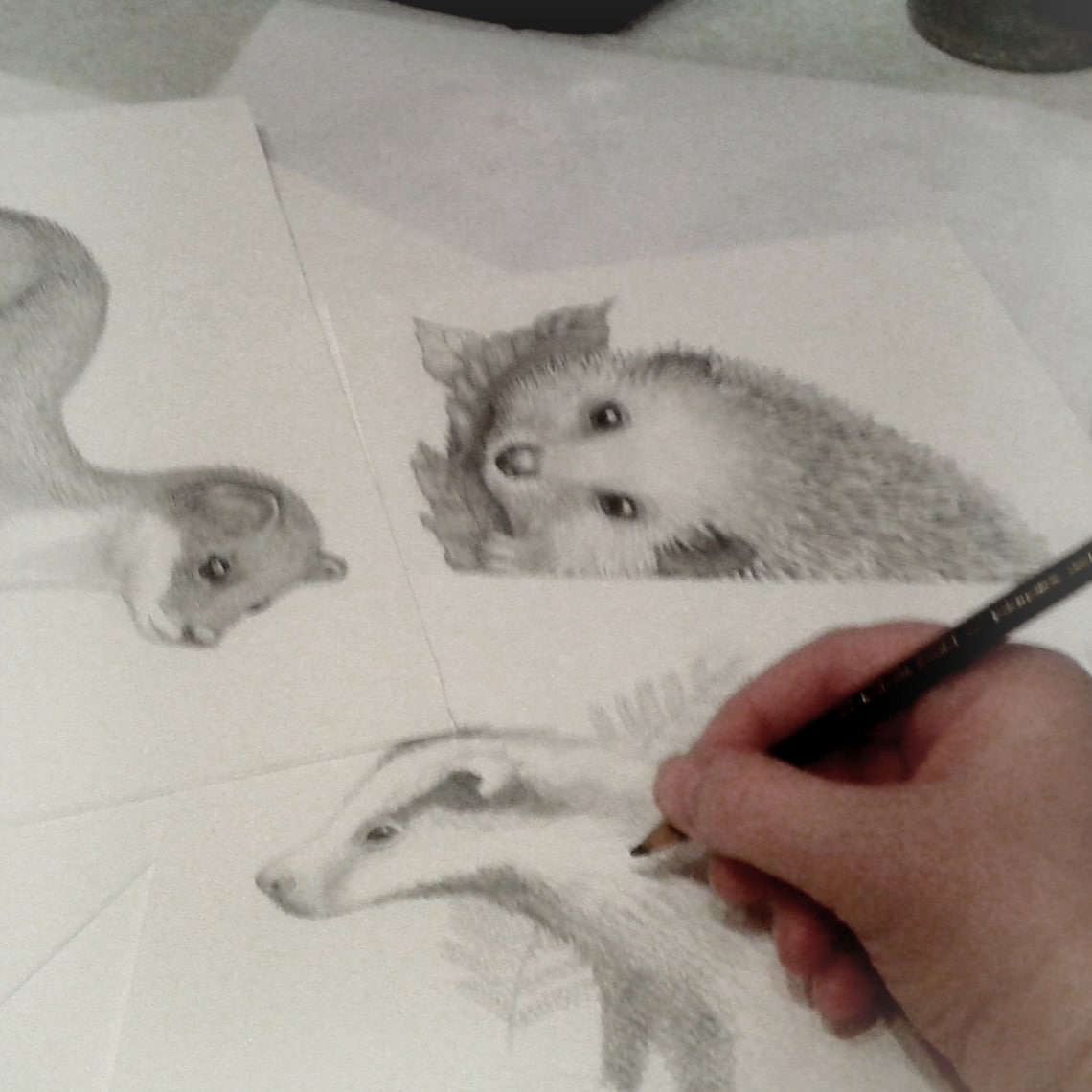 Stoat Drawing Pencil Drawing of a Stoat or Weasel - Etsy UK
